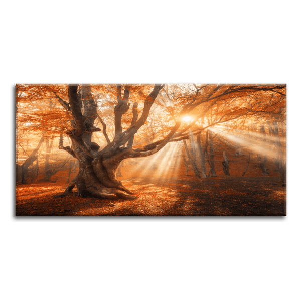 Autumn Radiance - Acrylic Wall Art