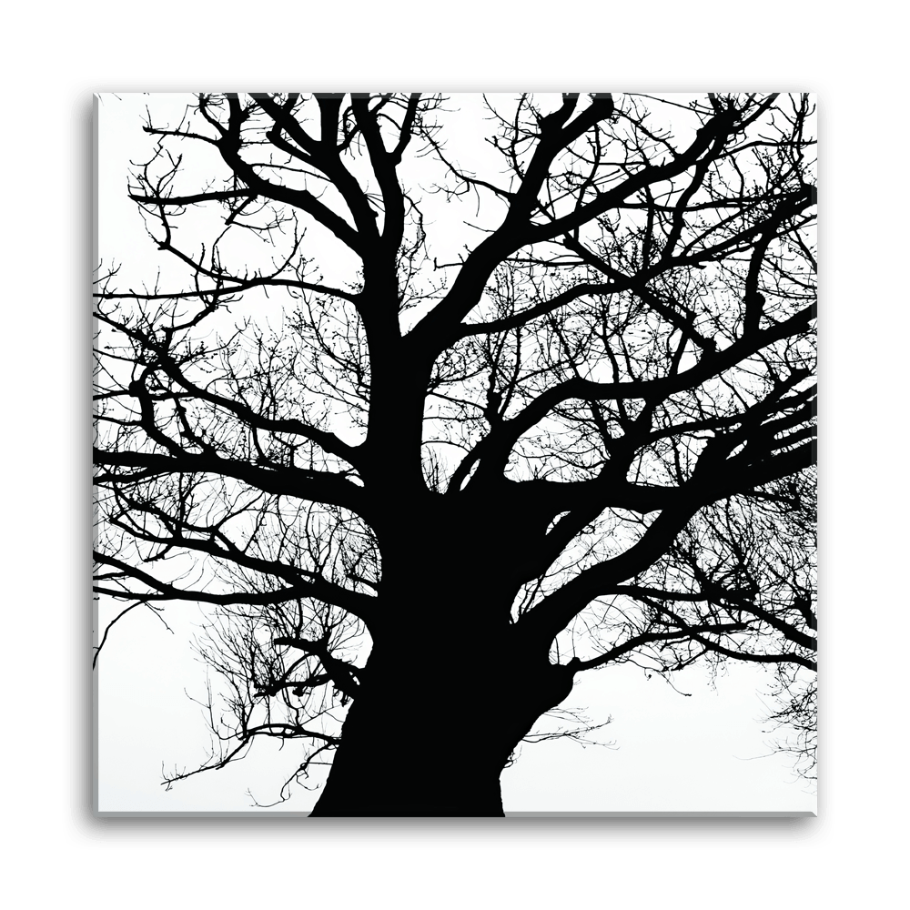 Silhouette Tree - Acrylic Wall Art